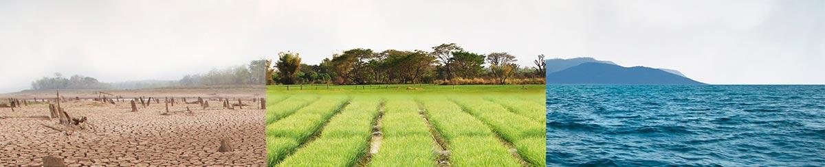 What’s the Difference Between Weather and Climate? – AcuRite